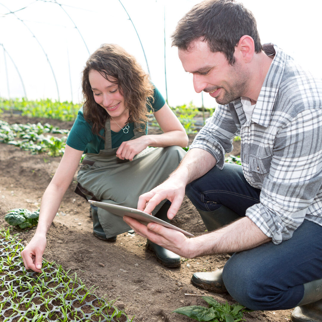Horticulture - Abingdon & Witney College